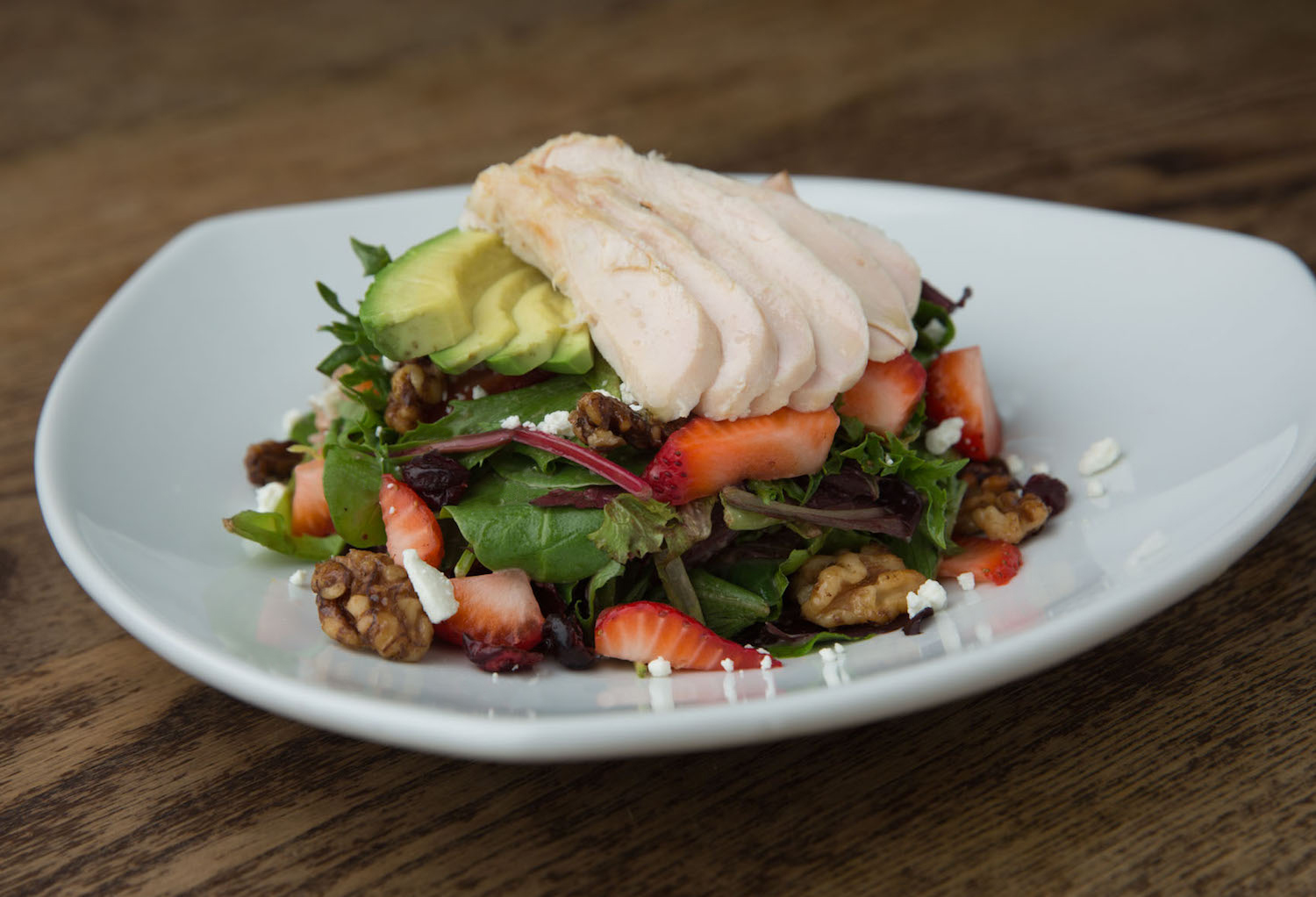 Monkey Business Cafe Picture Gallery